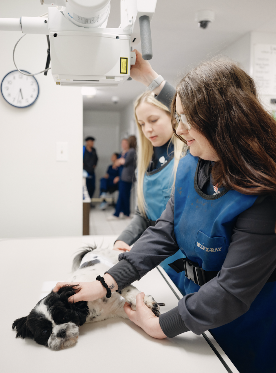 Our Doctors - Pet Emergency Clinic